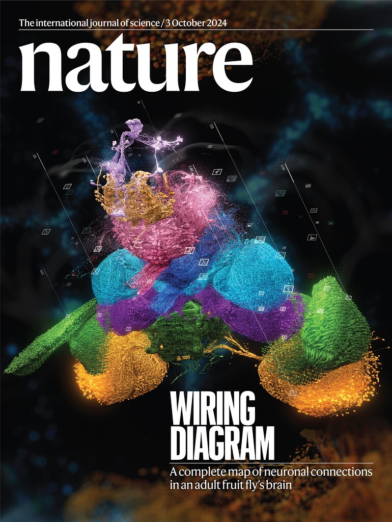 FlyWire papers are out today in Nature! - neuroscience - FlyWire